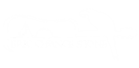 Eric Chance Stone – Eric Chance Stone - Author